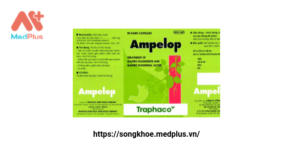 Thuốc Ampelop 625 mg: Liều dùng & Lưu ý, hướng dẫn sử dụng, tác dụng ...