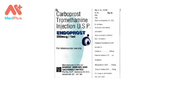 Thuốc Endoprost-250mcg: Liều dùng & lưu ý, hướng dẫn sử dụng, tác dụng ...
