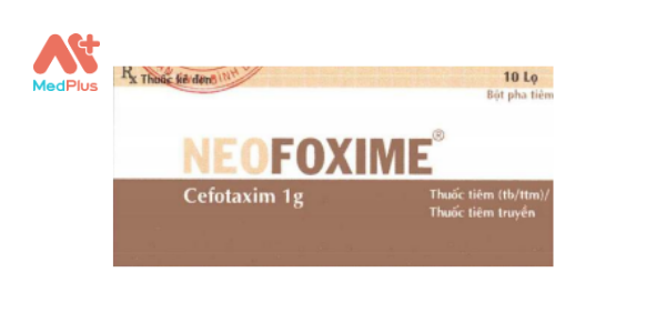 Thuốc Neofoxime: Liều dùng, lưu ý, hướng dẫn sử dụng, tác dụng phụ ...